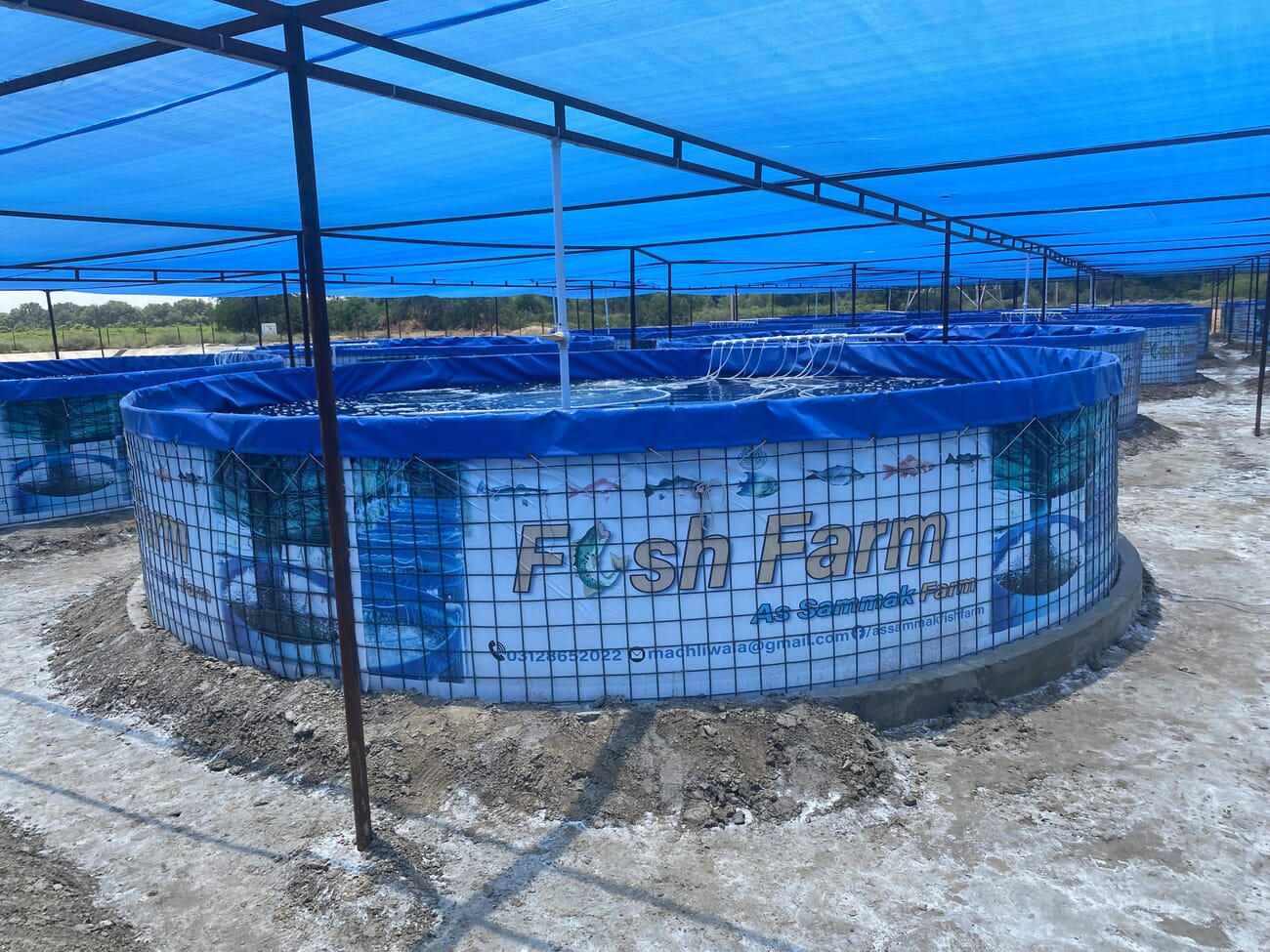 World Bank launches Aquaculture Investment Guide | The Fish Site