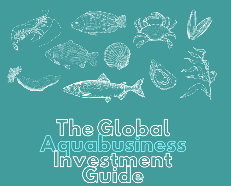 World Bank launches Aquaculture Investment Guide | The Fish Site