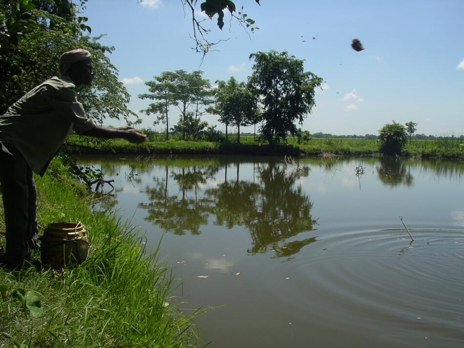 ThinkAqua: the new non-profit for small-scale farmers | The Fish Site