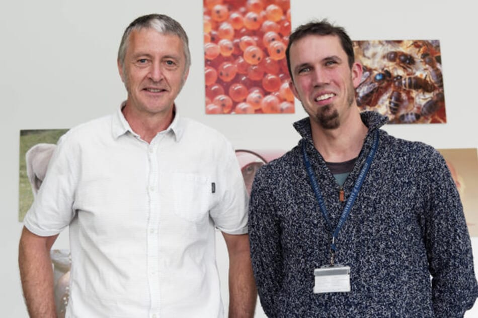Can gene editing help to reduce the sea lice burden in farmed salmon ...