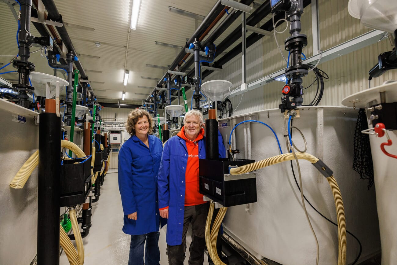 Aquaculture sludge gets an upsell with the newly developed “spill box ...