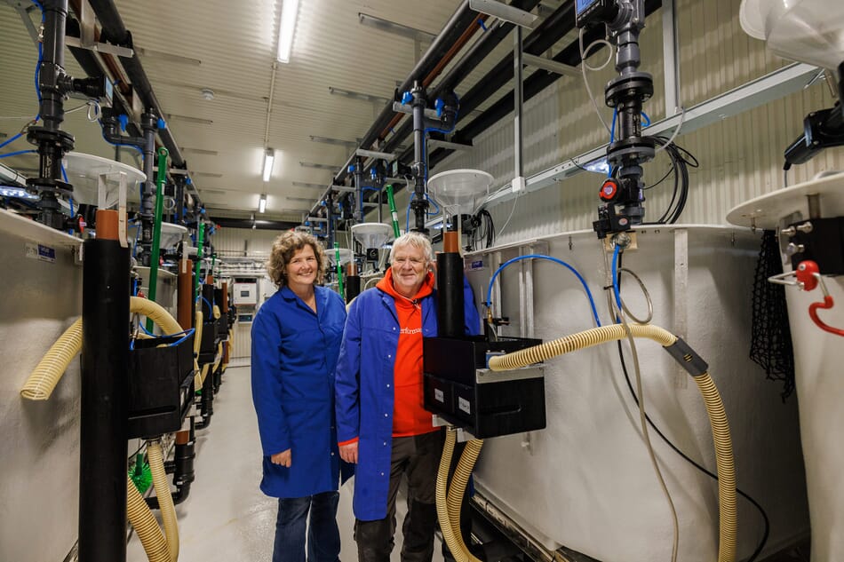 Aquaculture sludge gets an upsell with the newly developed “spill box ...