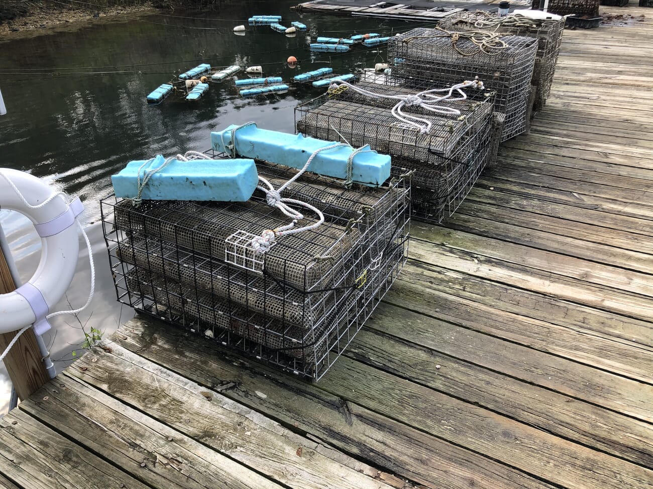 A tale of two oyster farms: social acceptance in the US aquaculture ...