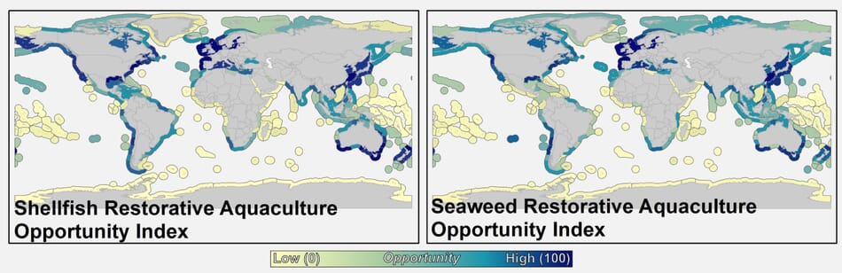 Where in the world can aquaculture best deliver for nature and people ...
