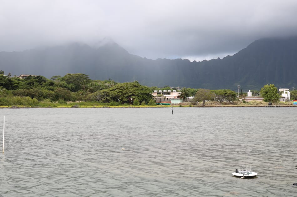 Sensor startup helps revive centuries-old Hawai’ian fishpond | The Fish ...