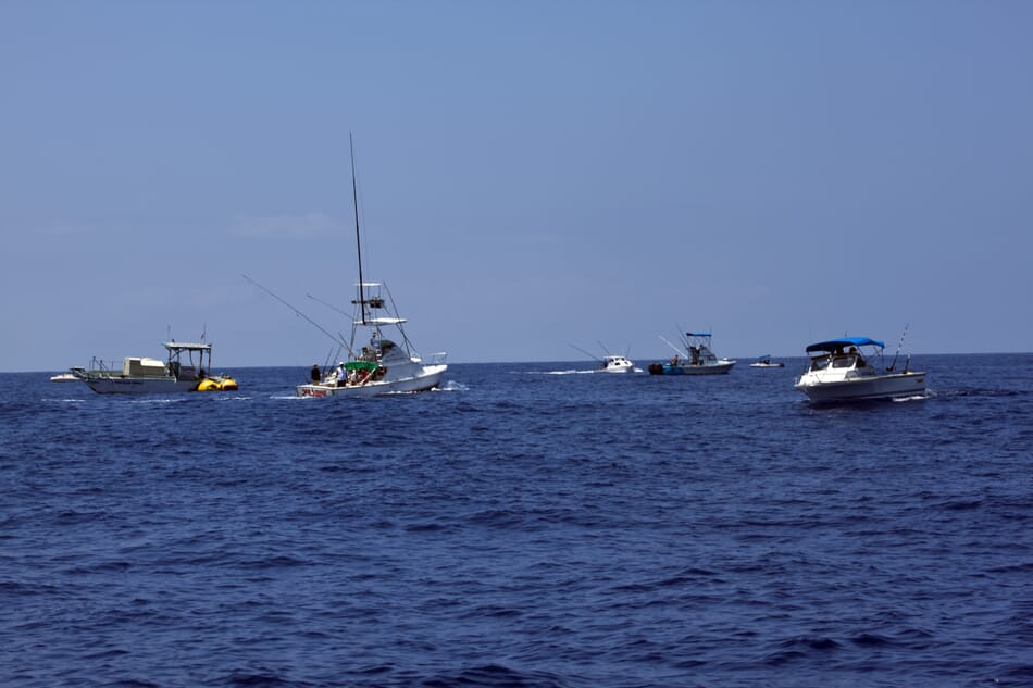 Bridging a gulf in the perceptions of aquaculture | The Fish Site