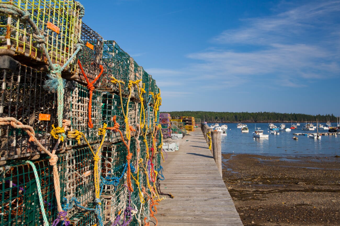 Women in Aquaculture: Heather Sadusky | The Fish Site