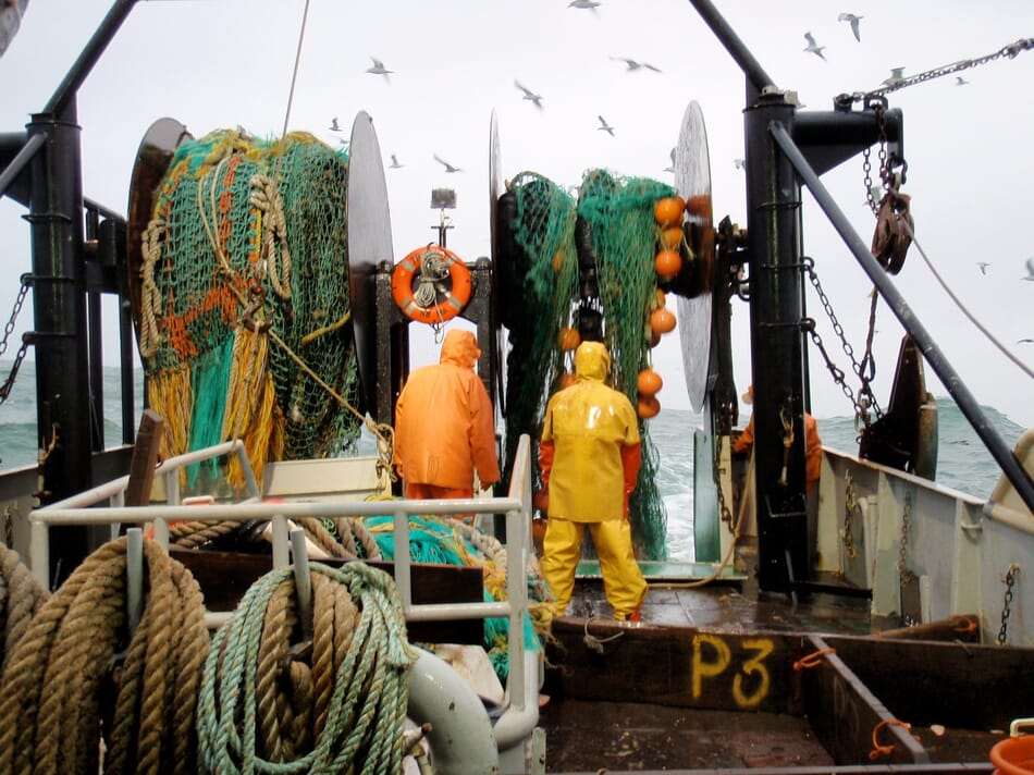 From sceptical fisherman to aquaculture conservationist | The Fish Site