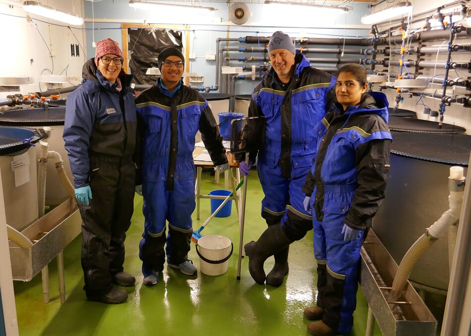 Researchers develop new treatment for AGD | The Fish Site