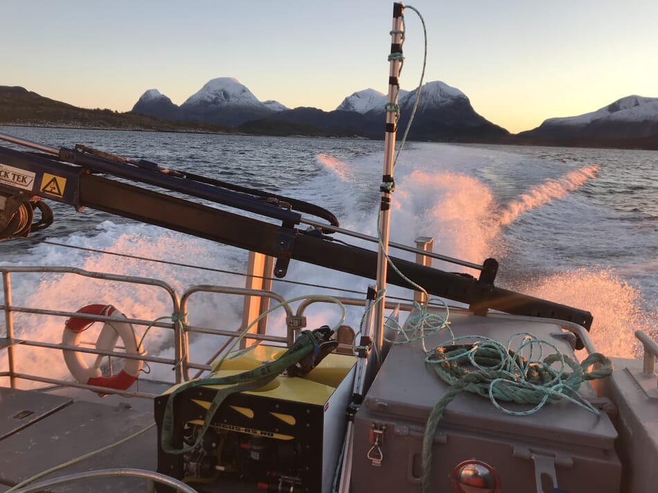 Self-farming aquaculture? It’s closer than you think… | The Fish Site