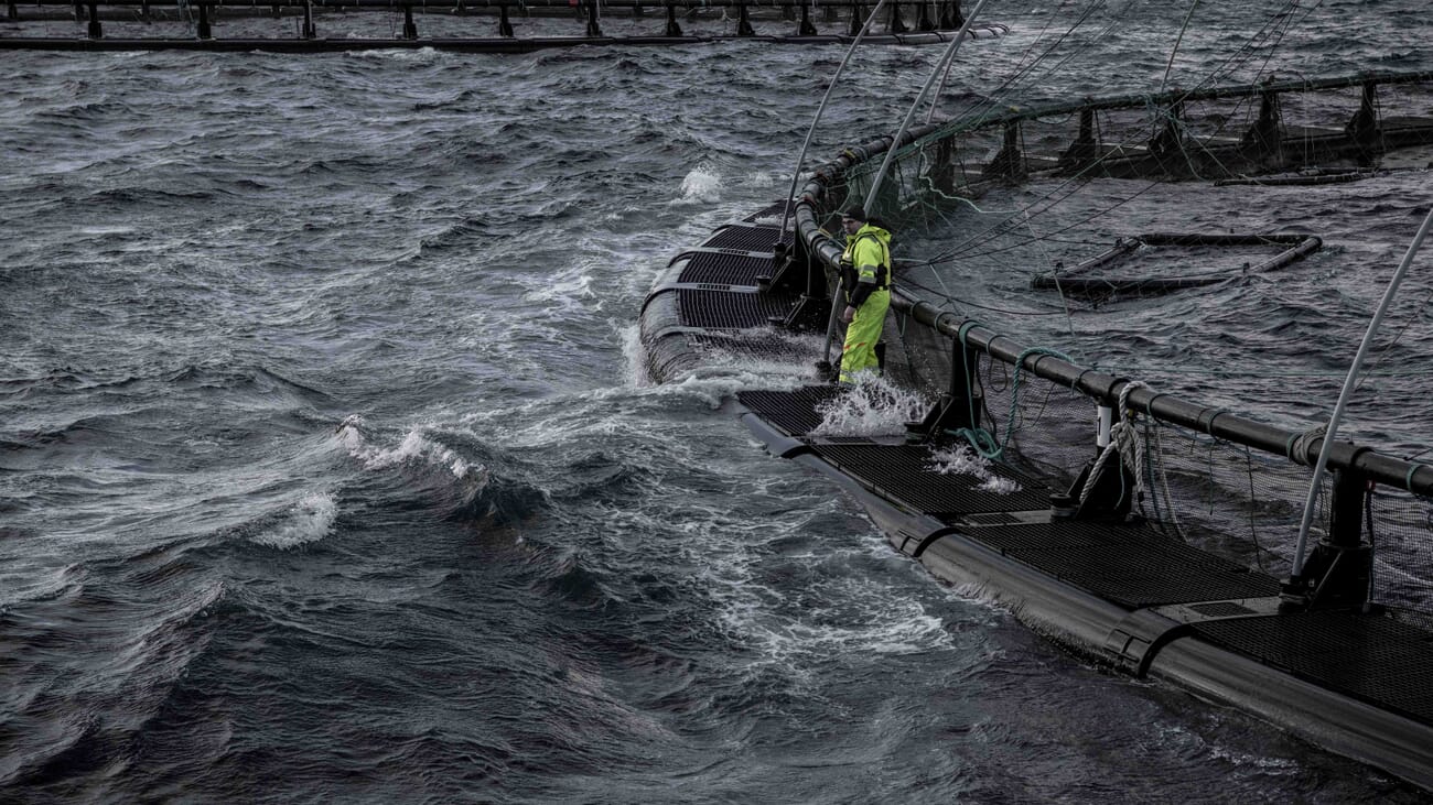 AKVA launches new salmon pen concept to combat sea lice | The Fish Site