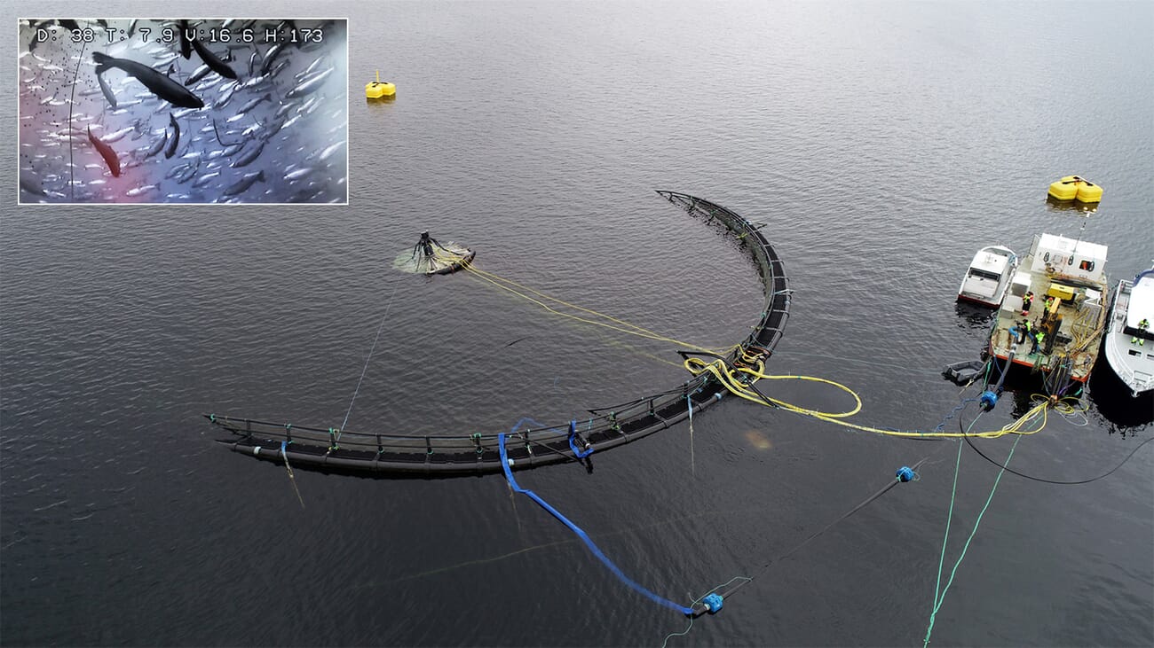 High hopes for subsea salmon pen | The Fish Site