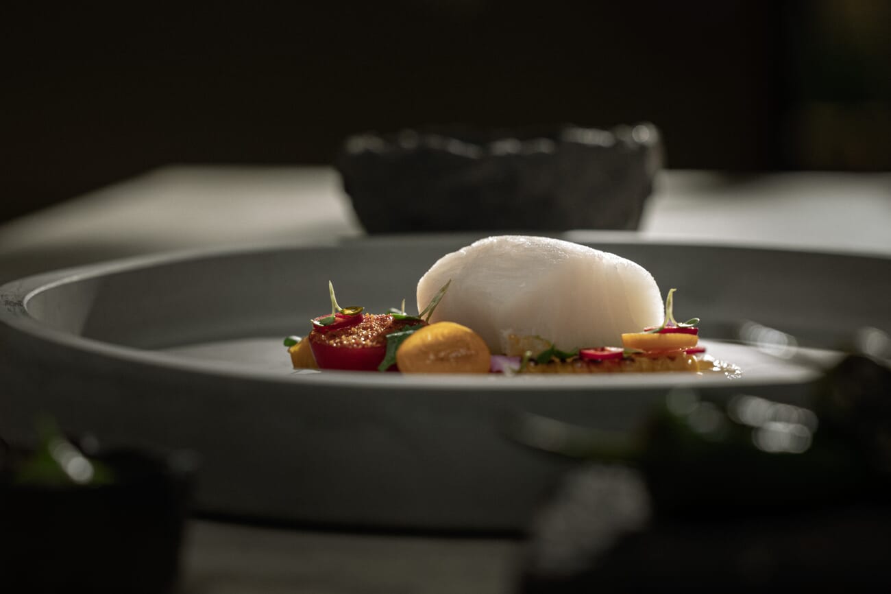 Norwegian cod producer to expand operations | The Fish Site