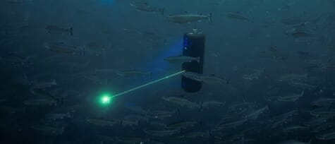 Investing in aquaculture: the year's key trends | The Fish Site