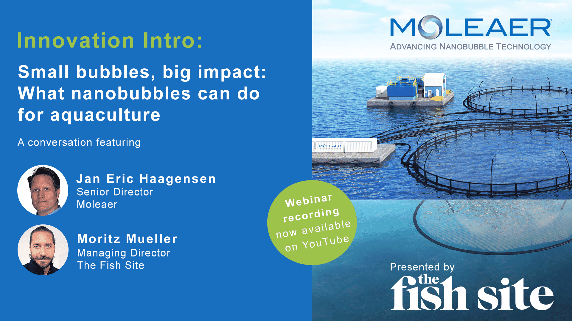 The tiny bubbles braced to make a huge impact in aquaculture | The Fish ...