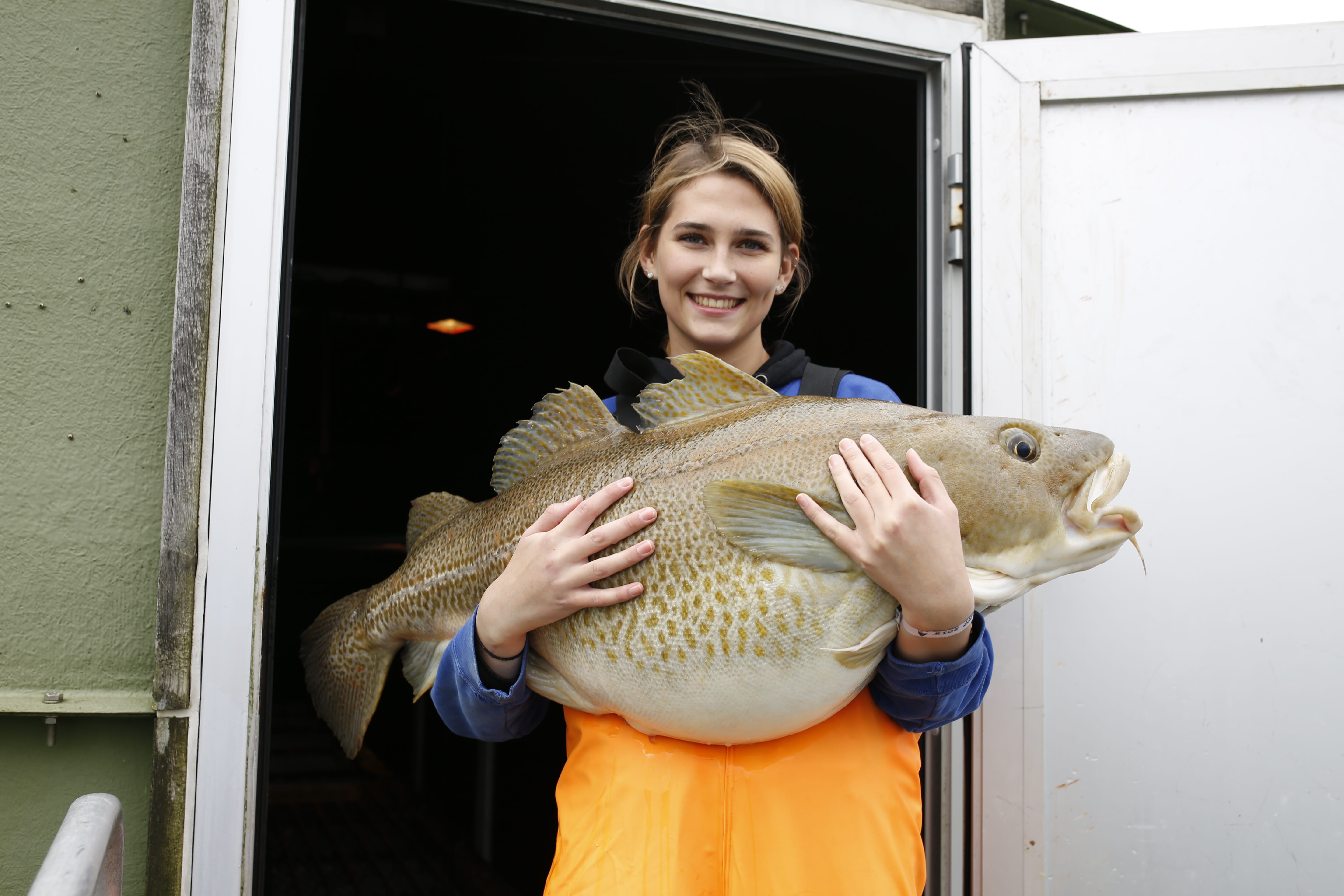 Cod specialist set to diversify into land-based salmon | The Fish Site