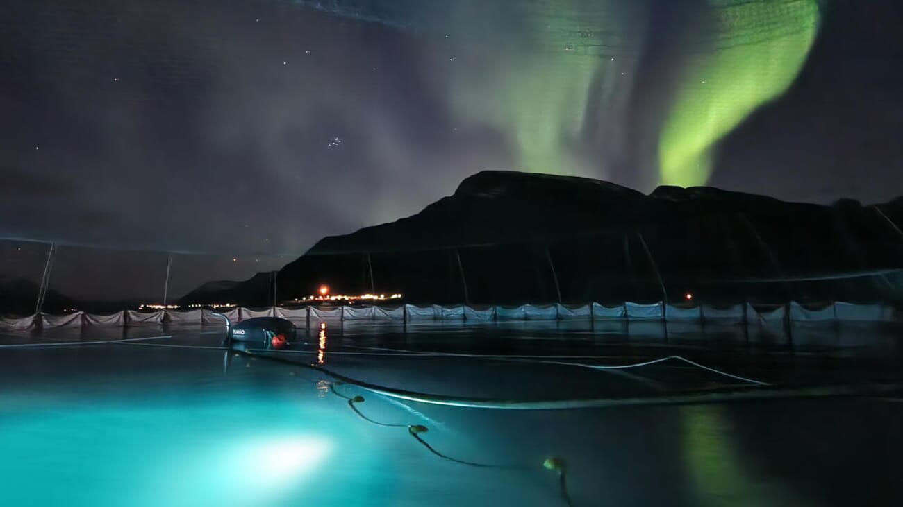 AKVA launches new salmon pen concept to combat sea lice | The Fish Site