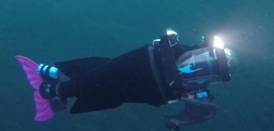 Funding Nammu: precision fish farm monitor nears commercial launch ...