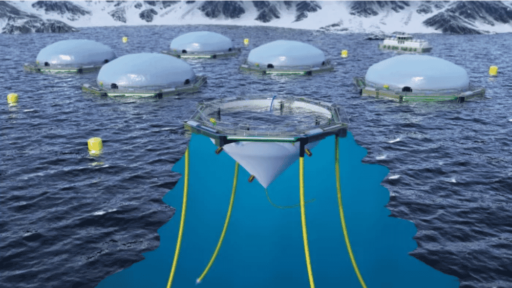 A fresh take on closed containment aquaculture | The Fish Site