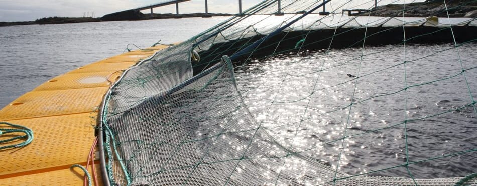 What is on salmon aquaculture’s tech horizon? | The Fish Site