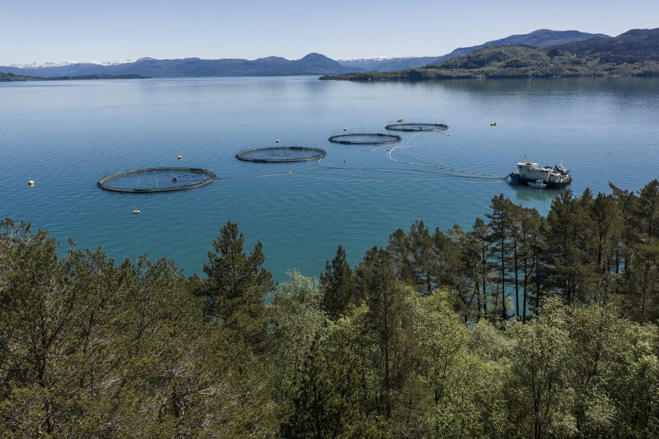 How one salmon farm is saving 110,000 litres of diesel a year | The ...