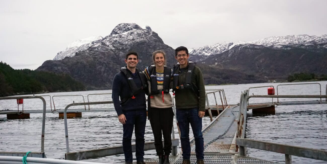 Manolin launches practical fish health forecasting tool | The Fish Site