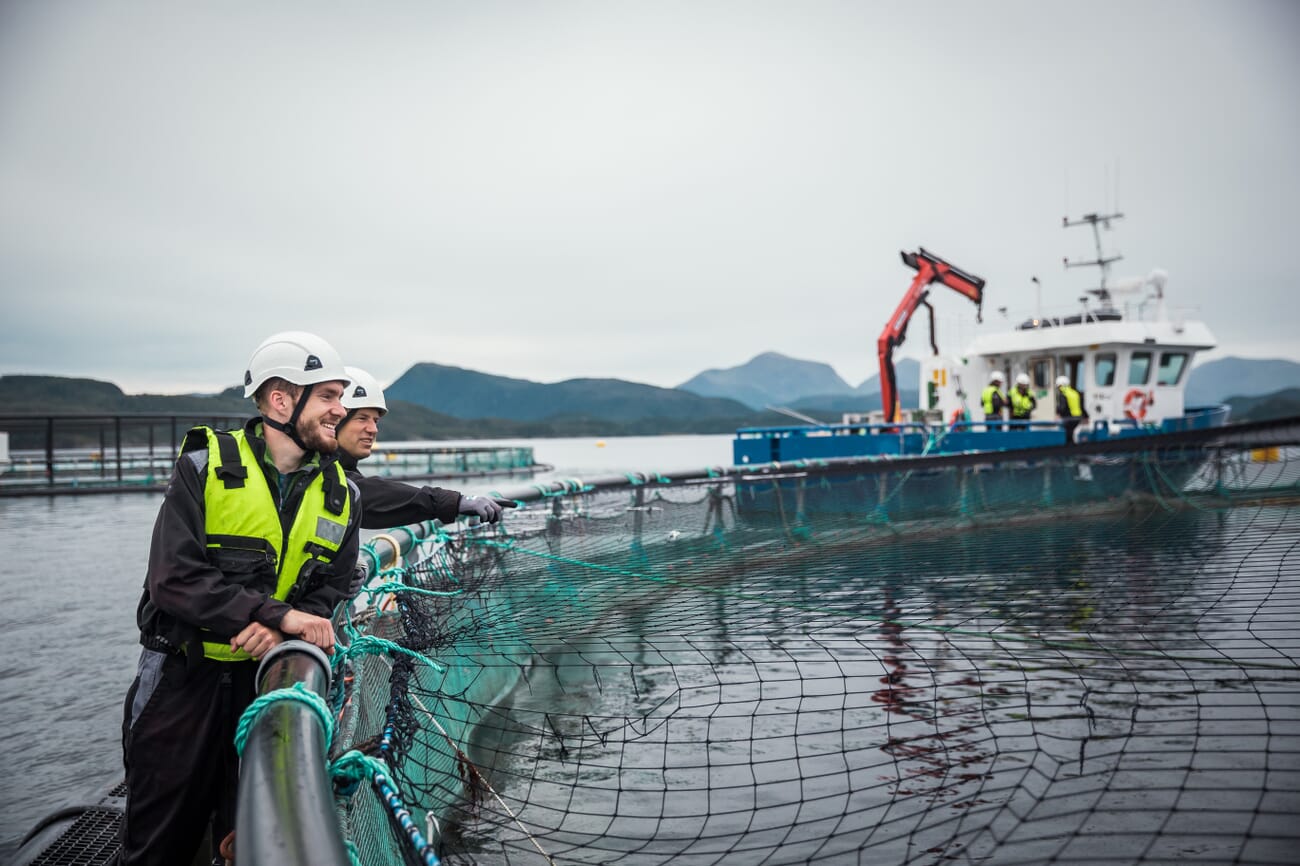 Cermaq sees value from new measurement technology | The Fish Site