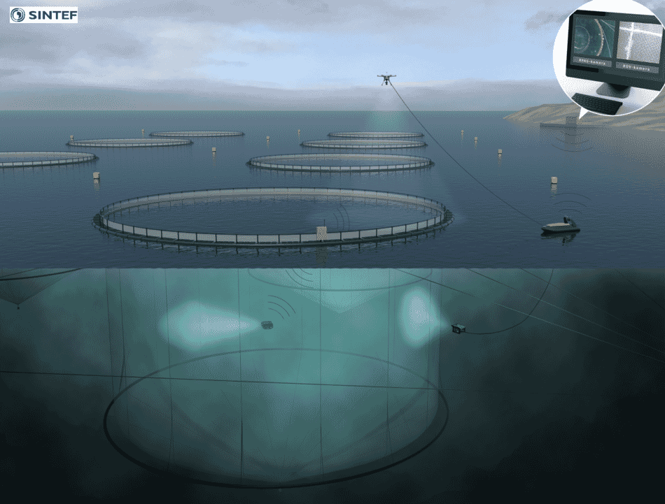 Bringing autonomous fish farms one step closer | The Fish Site