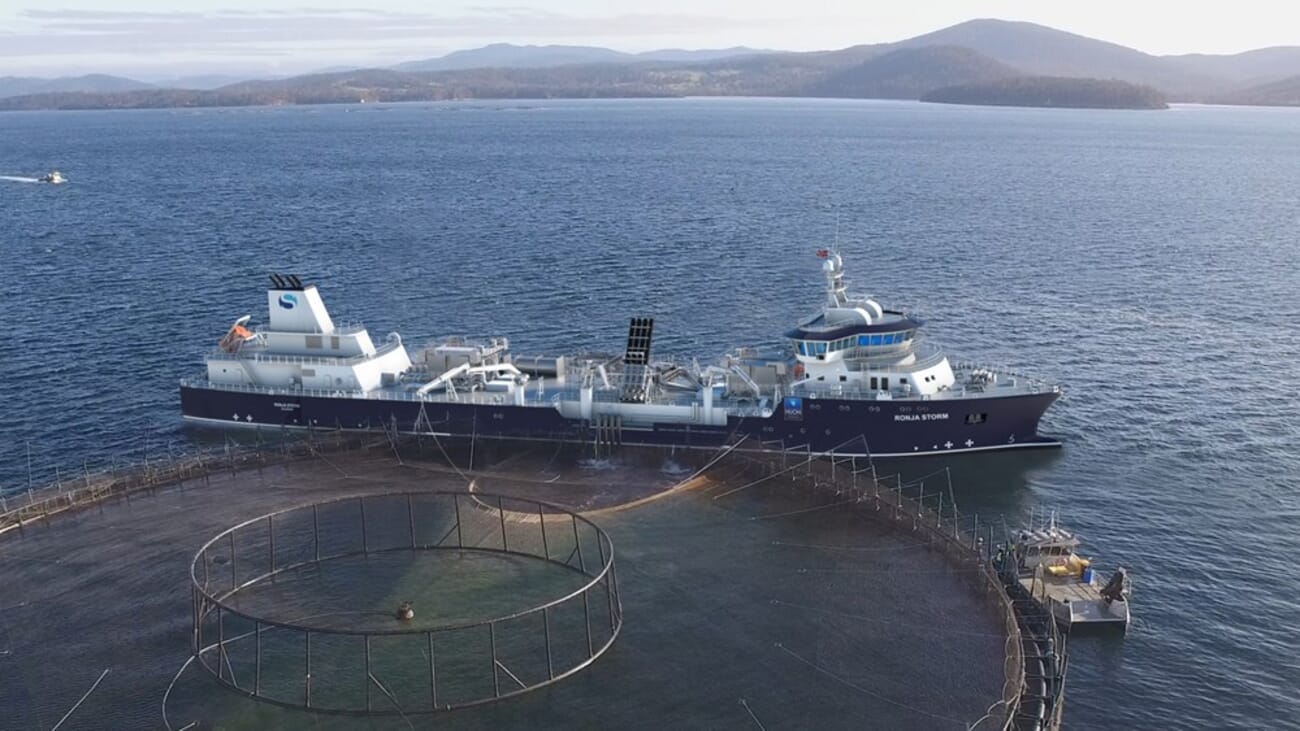 Nine join Salmon Scotland | The Fish Site