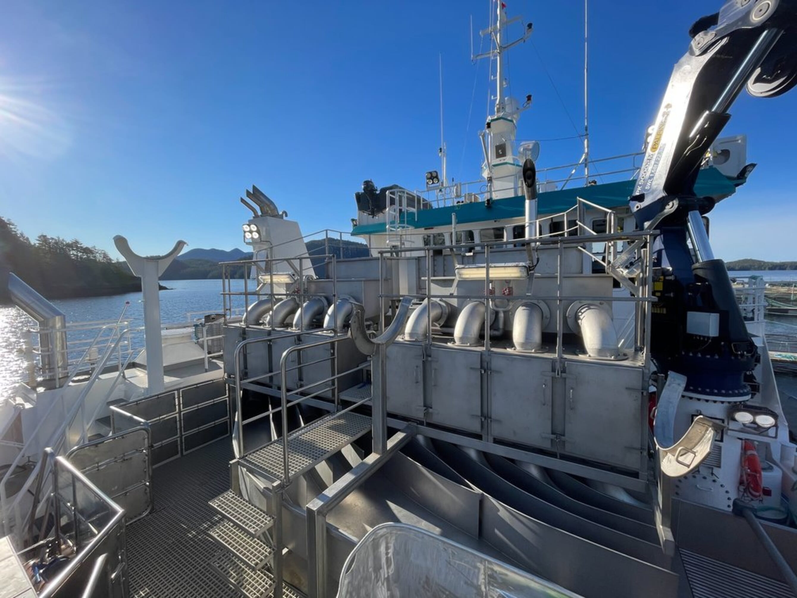 Seafood investor partners with startup on delousing tech | The Fish Site