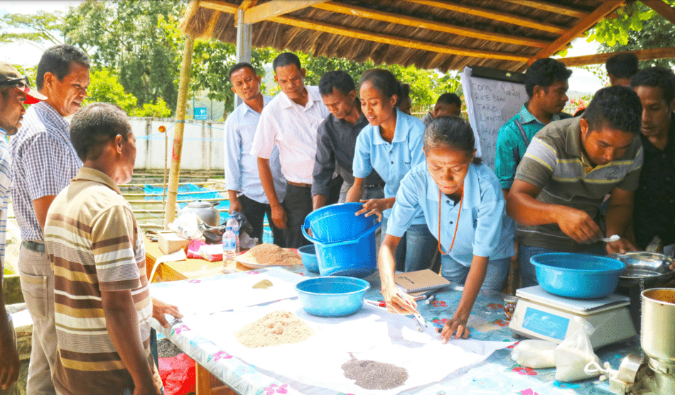 Timor-Leste Prime Minister celebrates tilapia farming success | The ...