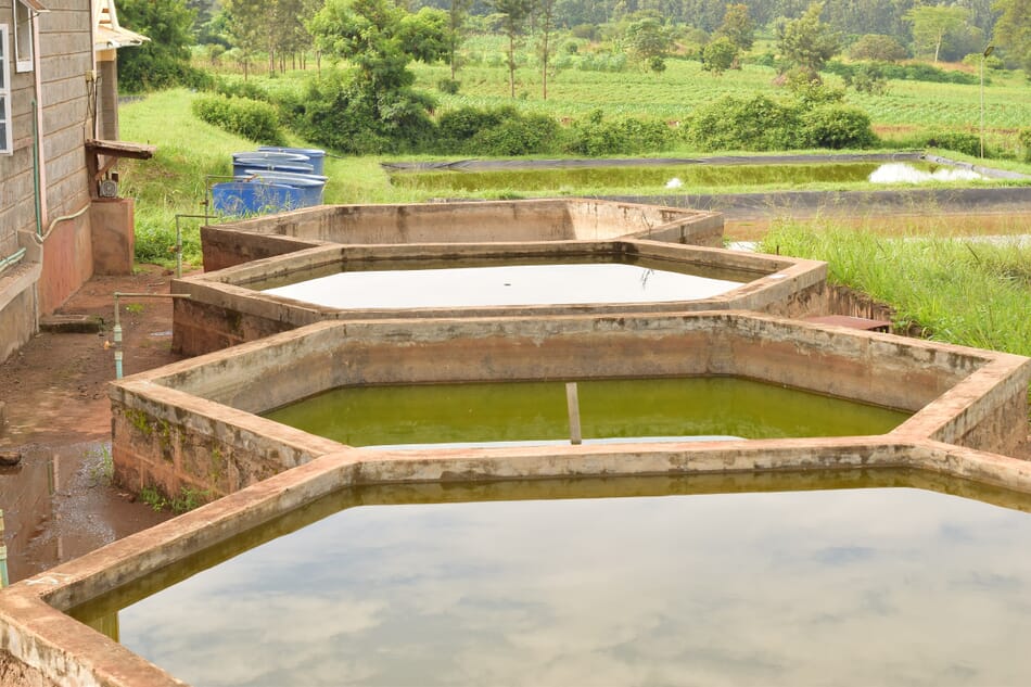 From pioneering academic to hands-on aquaculture trainer | The Fish Site