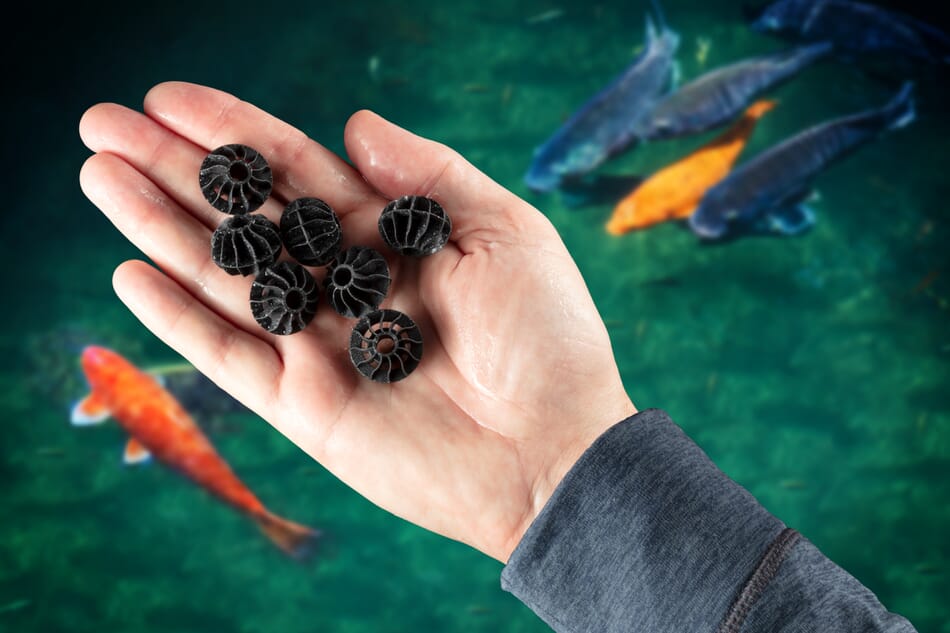Innovative RAS filter reduces energy input requirements | The Fish Site