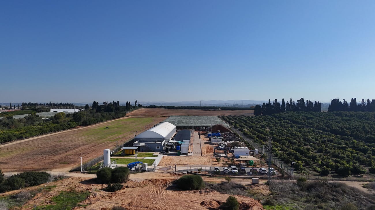 Farming yellowtail amidst the avocados | The Fish Site