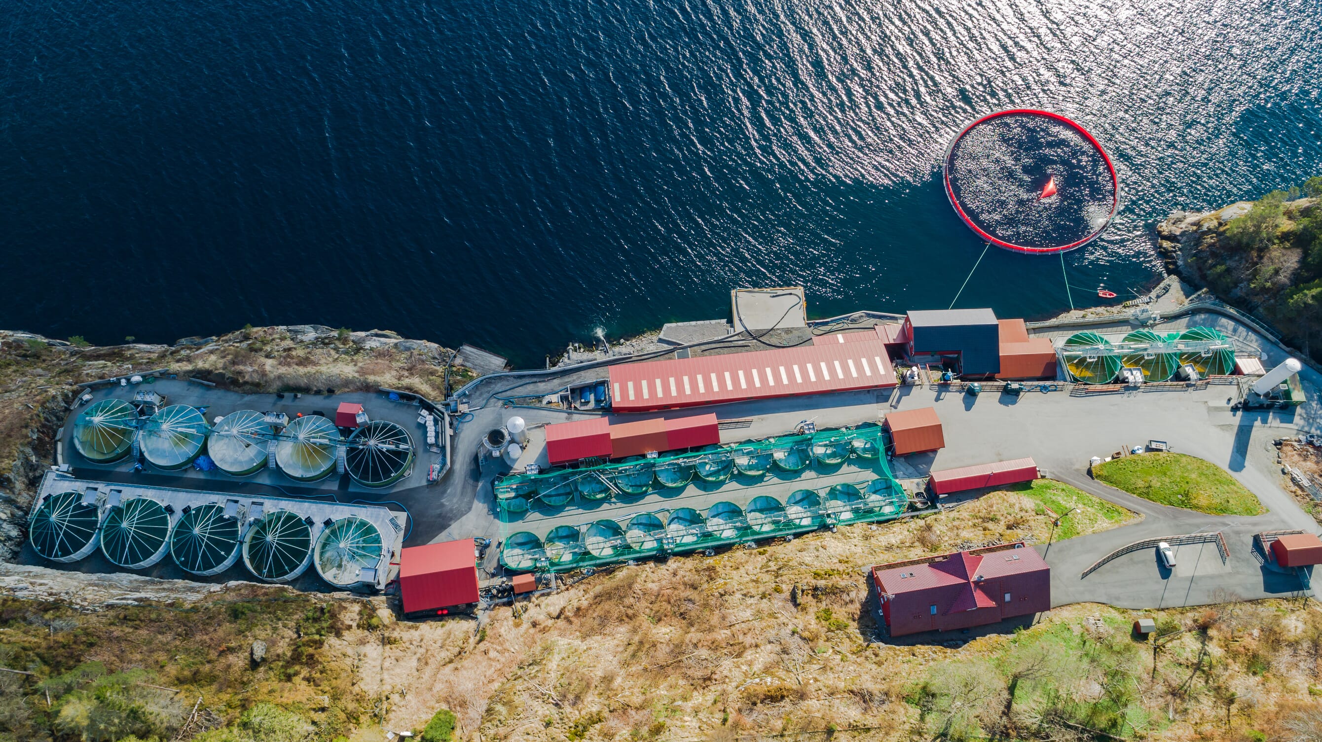 Can land-based RAS overcome its issues? | The Fish Site