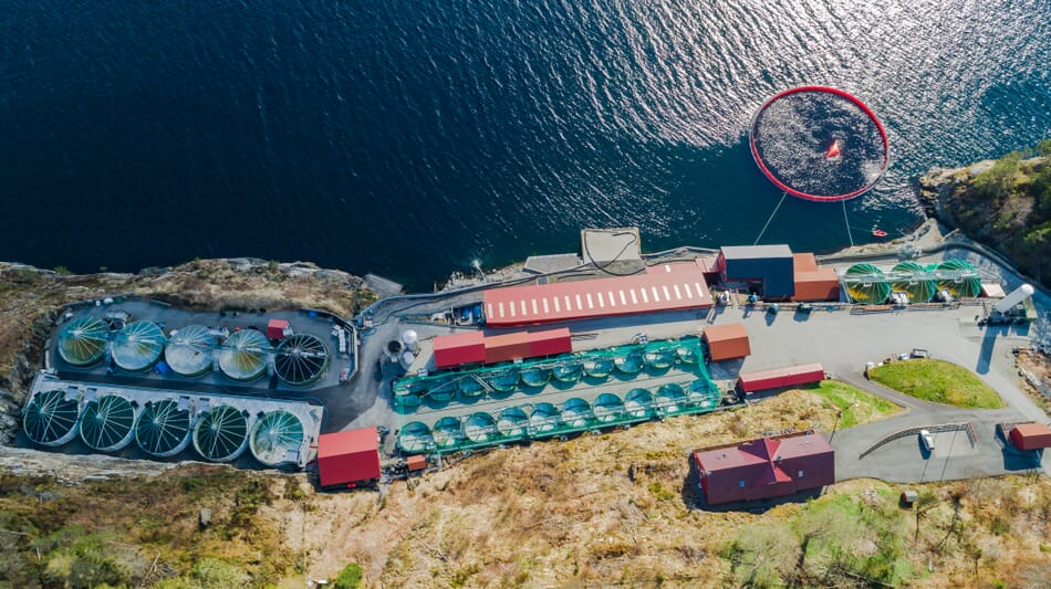 Can land-based RAS overcome its issues? | The Fish Site