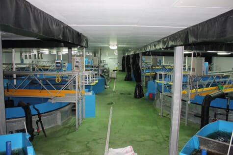 How to start a biofilter | The Fish Site