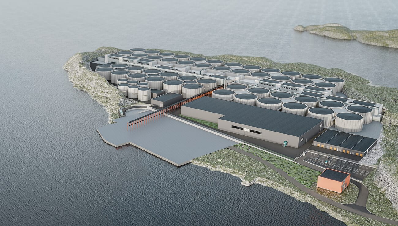 Norway's largest land-based salmon farm raises £19.6 million | The Fish ...