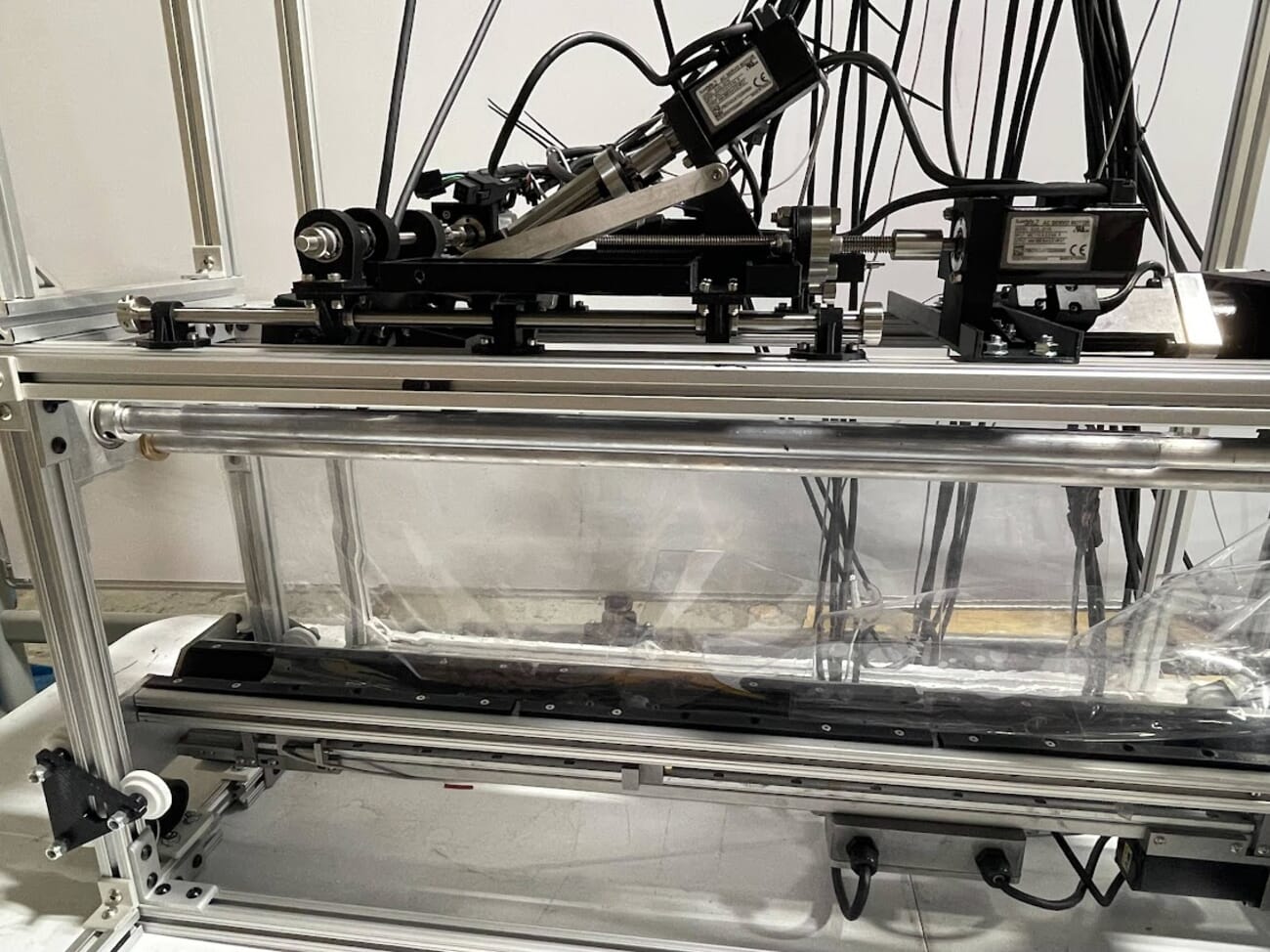 LocalCoho opts for automated "Ike Jime" salmon harvesting | The Fish Site