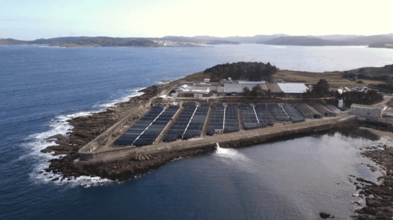 Stolt Sea Farm teams up with Telephonica subsidiary | The Fish Site