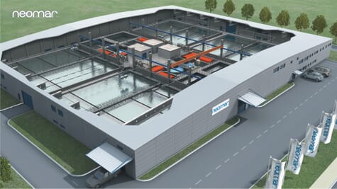 Germany’s clearwater shrimp RAS champion | The Fish Site