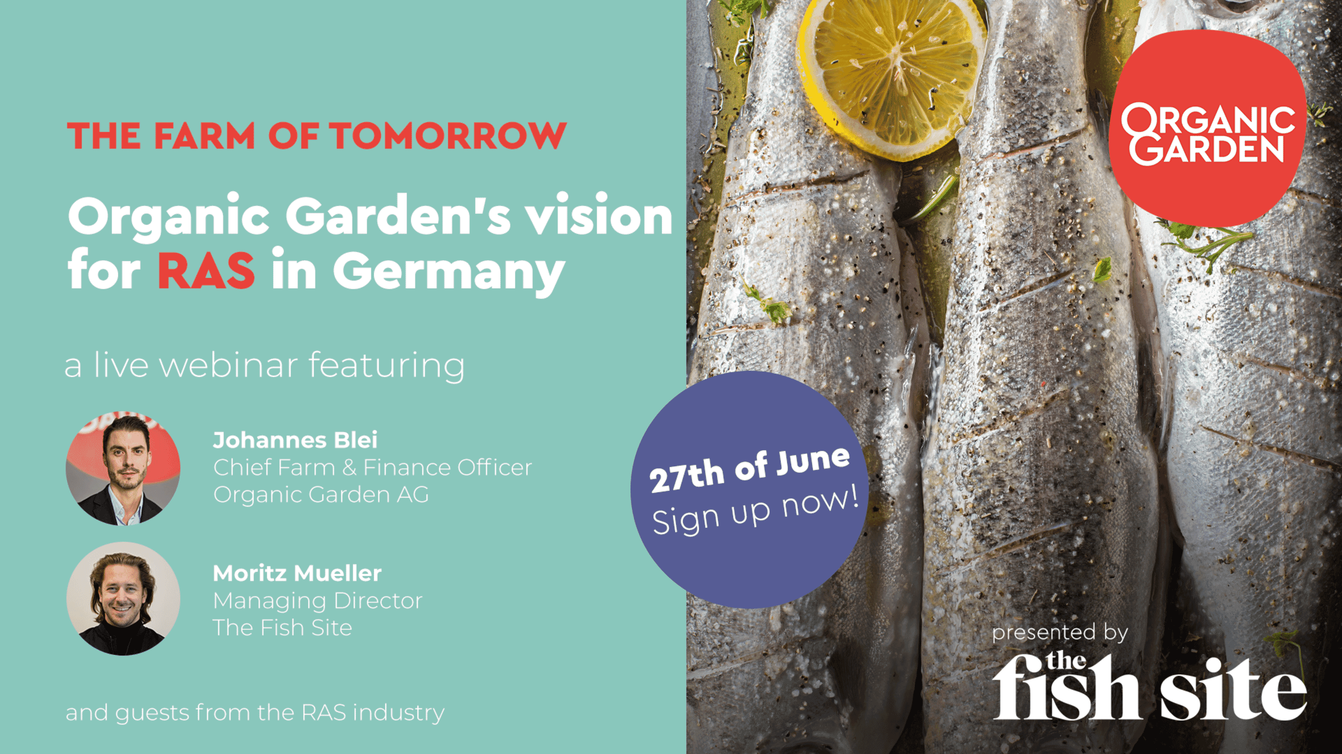 Integrating RAS into a holistic indoor farming system | The Fish Site