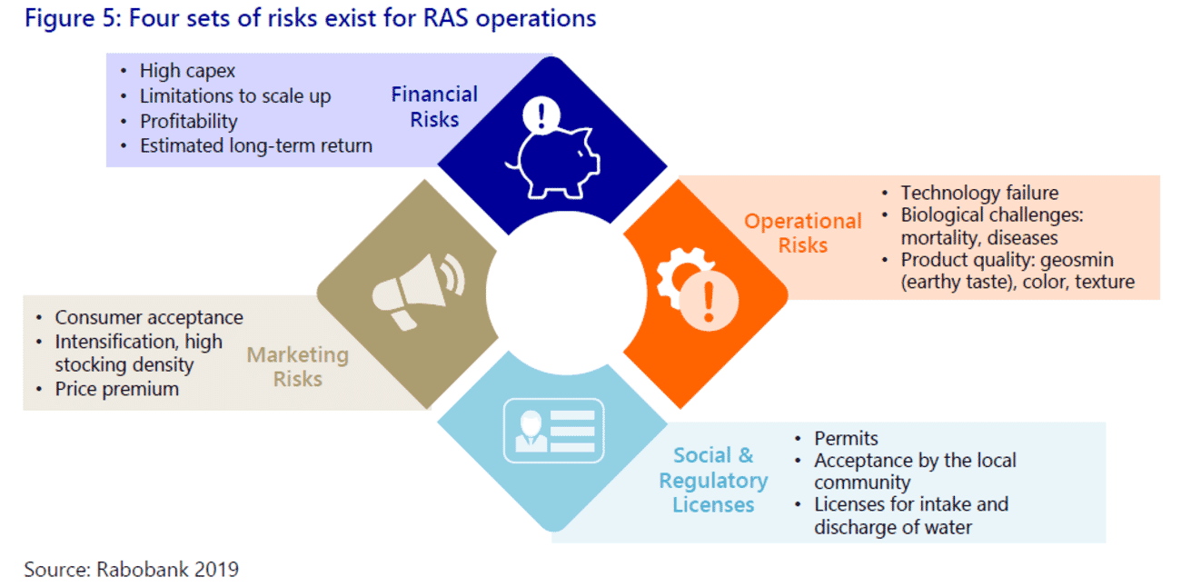 Rabobank: why the tide is turning in favour of RAS production | The ...