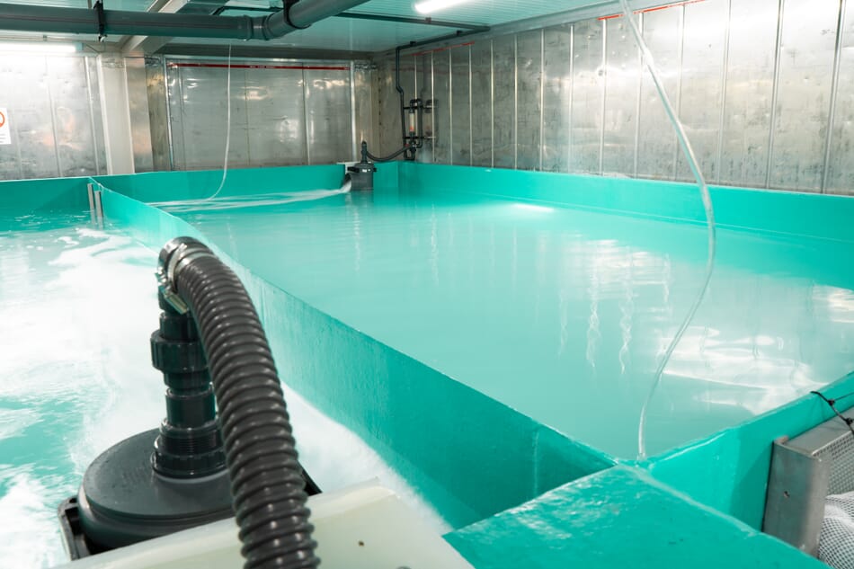 The tiny RAS with massive impact potential | The Fish Site