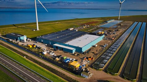 Kingfish Company edges towards profitability | The Fish Site