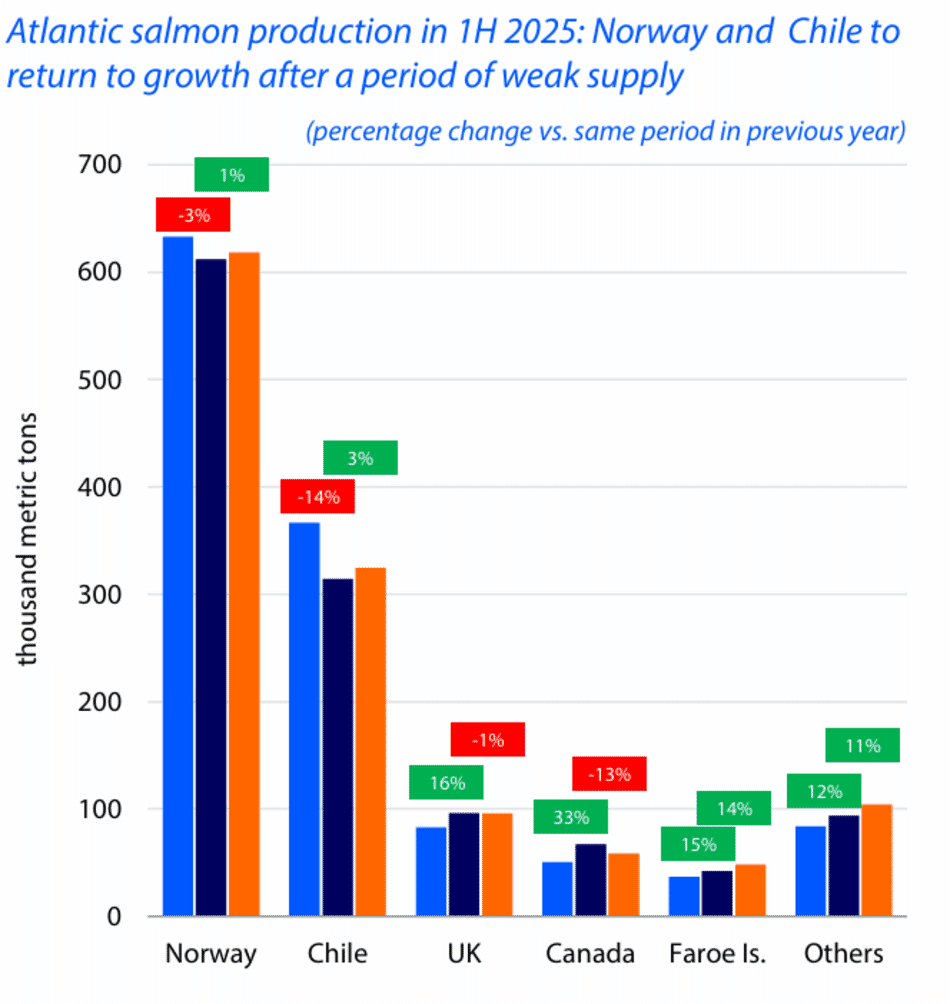 Positive forecasts for salmon and shrimp prices | The Fish Site