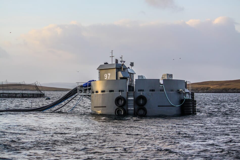 Cooke deploys Shetland’s first hybrid feed barge | The Fish Site