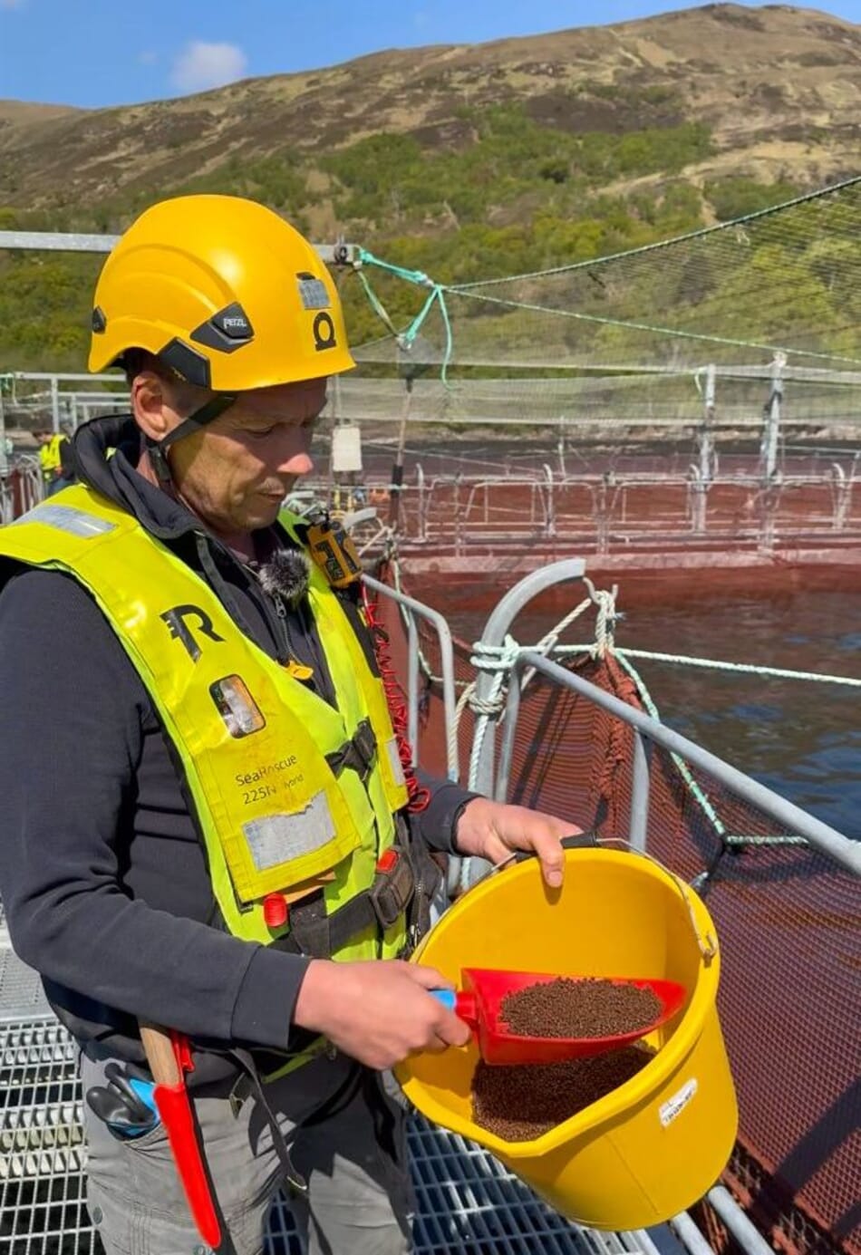 Mowi reports world-wide record FCR at Scottish salmon site | The Fish Site