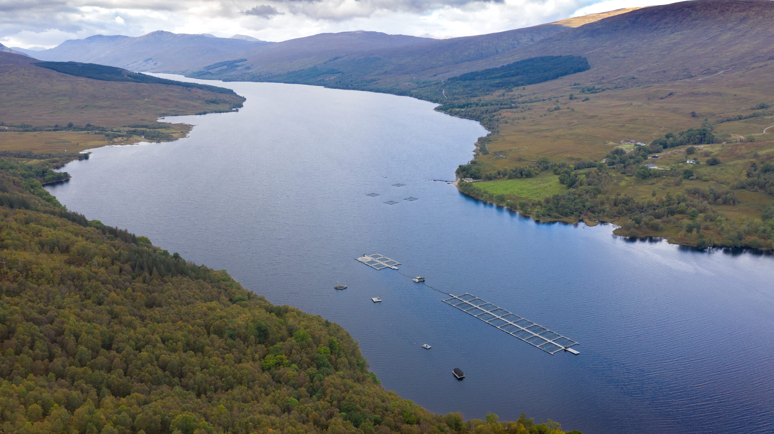 Study suggests salmon farming has little impact on loch's nutrient levels | The Fish Site