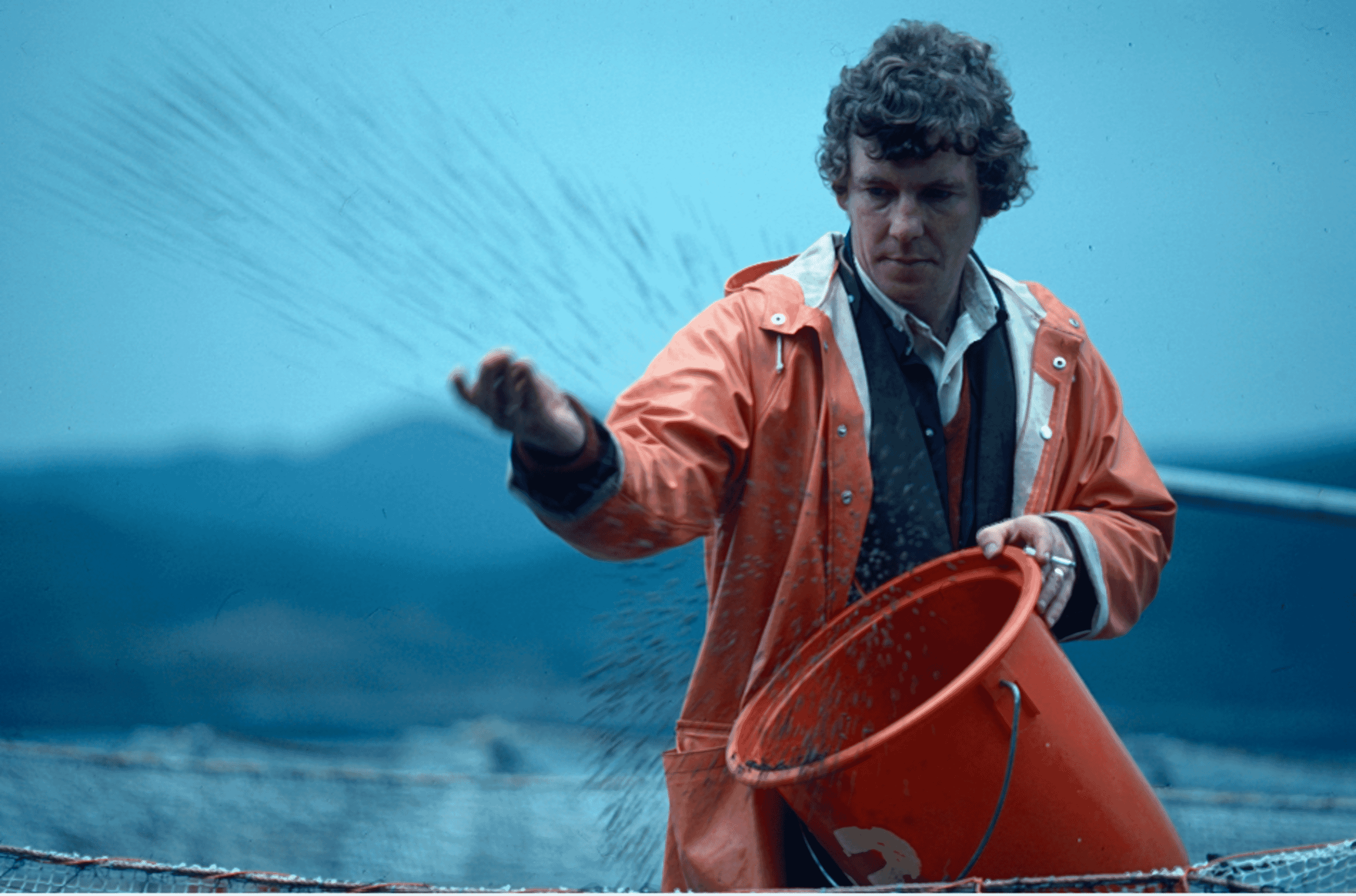 Mowi celebrates 60 years in Scotland | The Fish Site